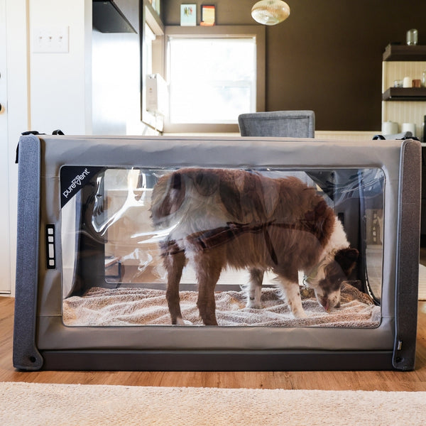 PureVent Pet Oxygen Chamber – Large Oxygen Enclosure for Dogs, Cats, a ...